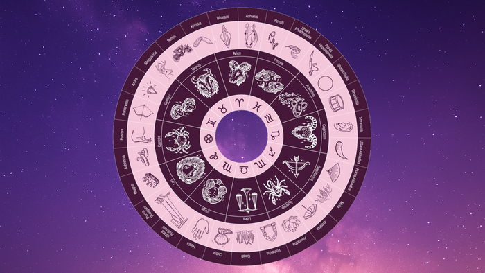 Rasi Nakshatra by Date of Birth Calculator | Shivaya Bless